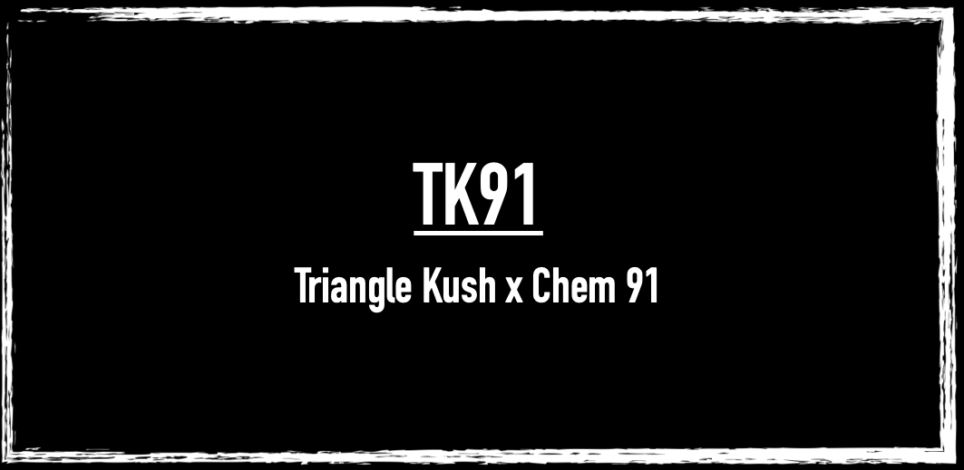 TK91 – Roots Farms